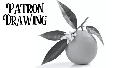 Patron Only Drawing Class # 2 (Video Link Is On Your Dashboards) - The ...