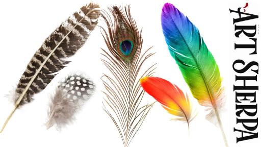 How To Paint Realistic Feathers In Acrylic Step By Step | Intro To ...