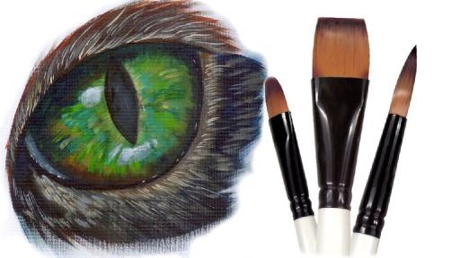 How To Paint Realistic Cats Eyes - The Art Sherpa Community | The Art ...