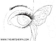 Butterfly Eye Traceable™ - The Art Sherpa Community | The Art Sherpa