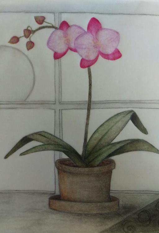 imag0957 1 - Gallery - TrashPanda | The Art Sherpa