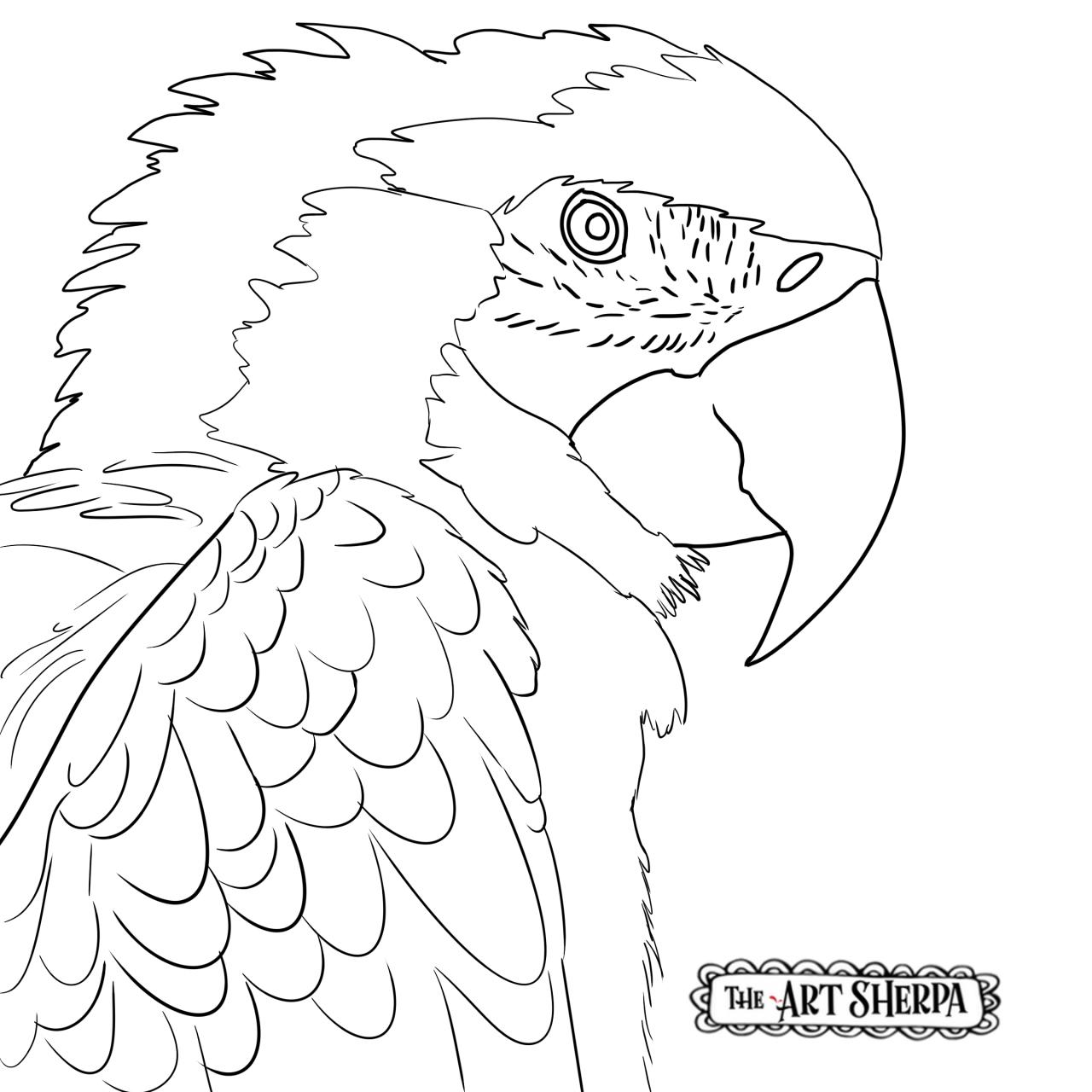 Parrot Trace 10 - Gallery - The Art Sherpa Community | The Art Sherpa