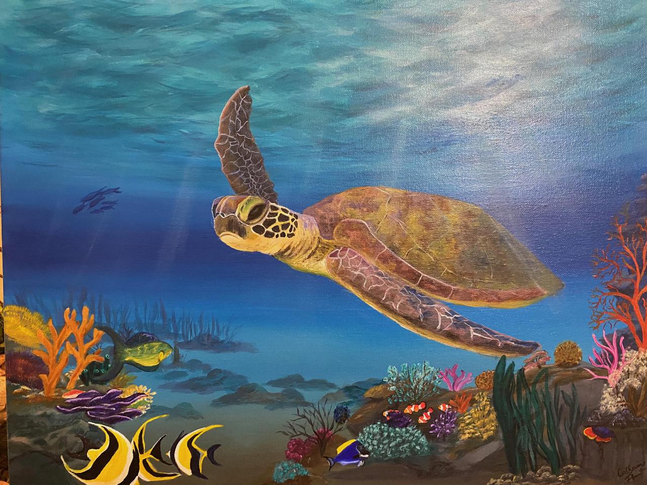 Sea Turtle - Gallery - kitcat9825 | The Art Sherpa