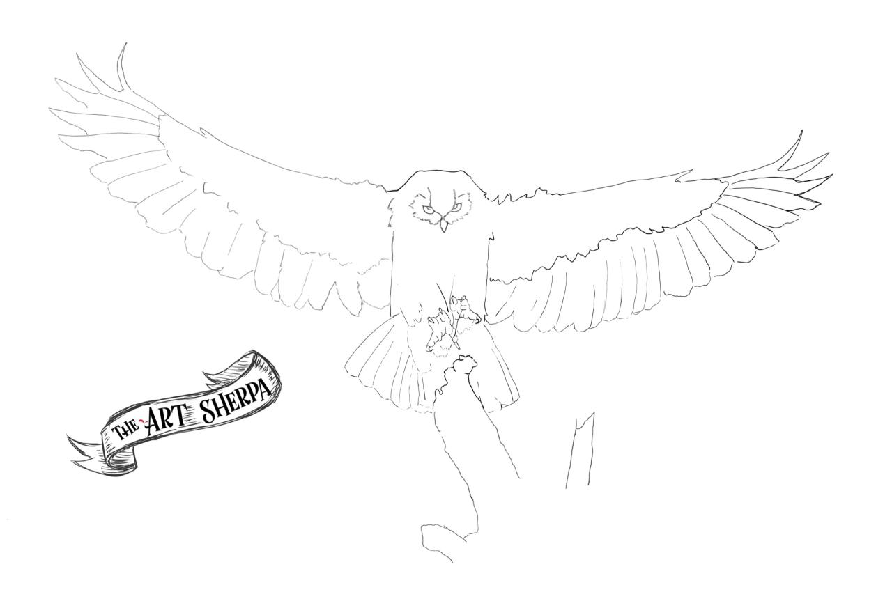 Patrons Exclusive Traceable Bird In Flight - Gallery - The Art Sherpa ...