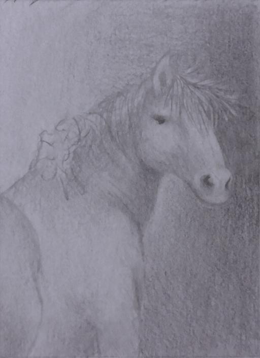 Img 20161214 062616 - Gallery - Aaron C. Miller | The Art Sherpa