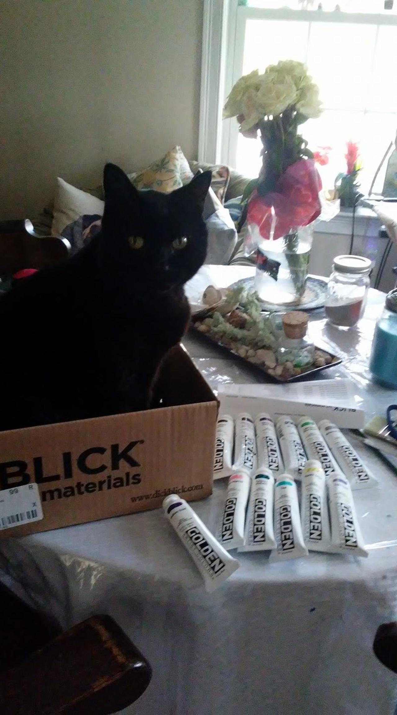 17097303 10154371004193359 804129776892338168 O - Gallery - Kimberly ...