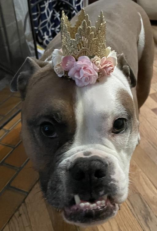 Lori Fulton | The Art Sherpa