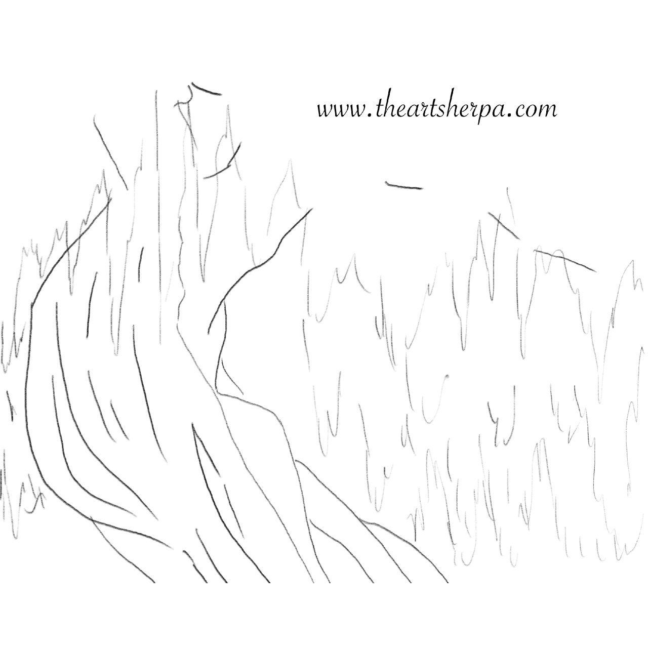 Wisteria Tree Traceable Large Canvas - The Art Sherpa Community | The ...