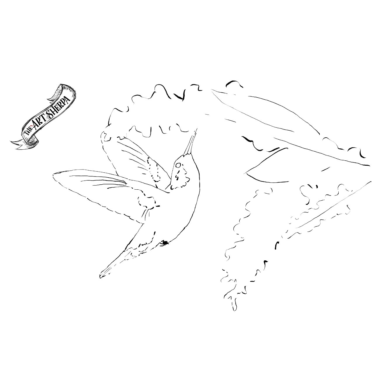 Hummingbird Traceable Humming Bird - The Art Sherpa Community | The Art ...