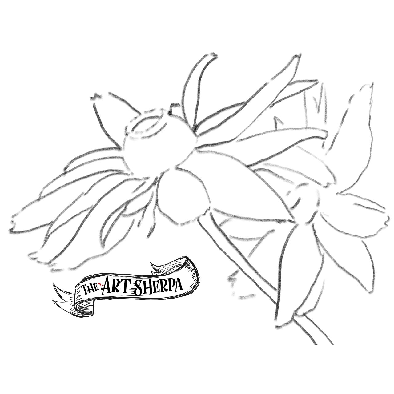 Fall Daisy Traceable 2021 .Jpg - The Art Sherpa Community | The Art Sherpa