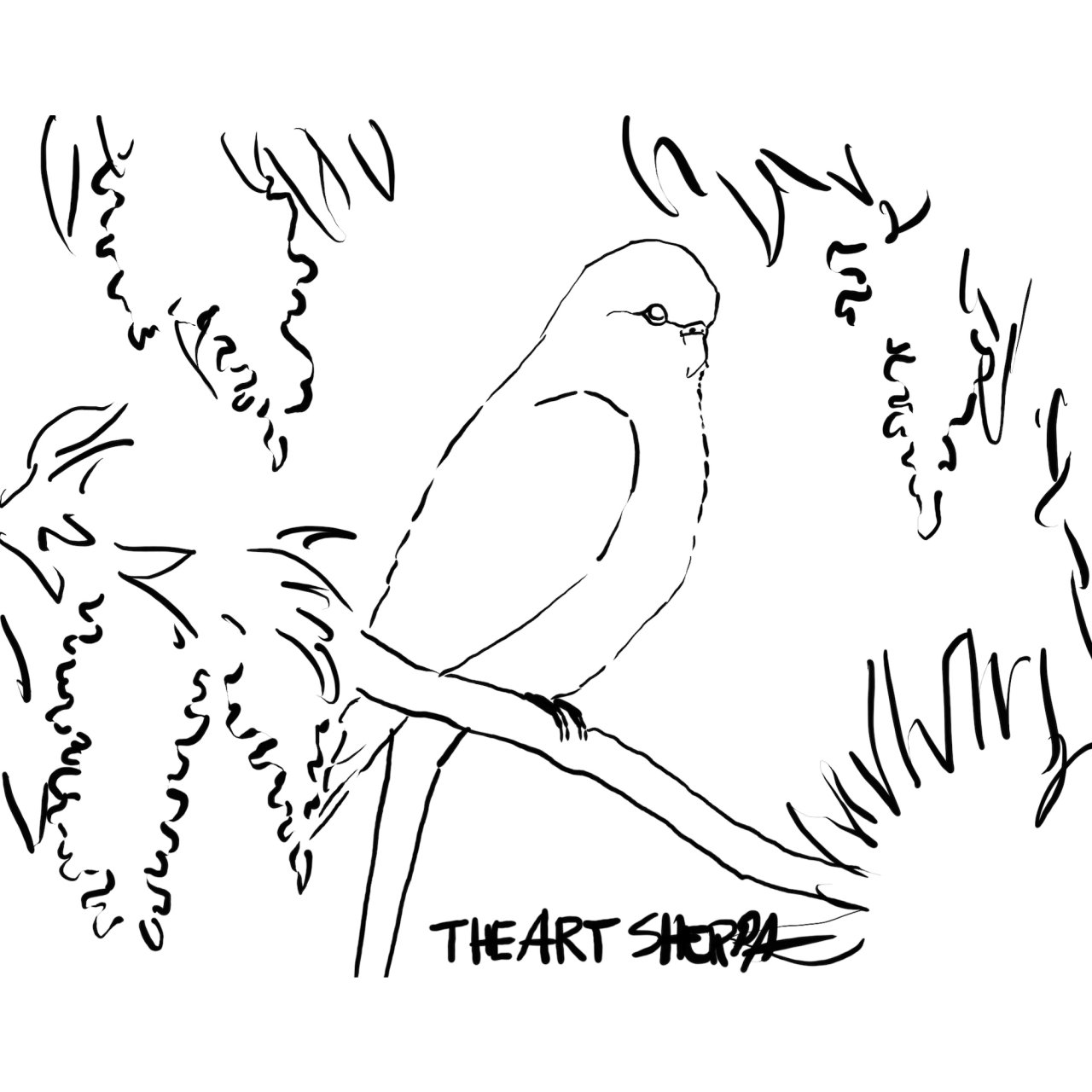 Budgie Bird Traceable - The Art Sherpa Community | The Art Sherpa