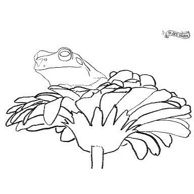 Traceables | The Art Sherpa