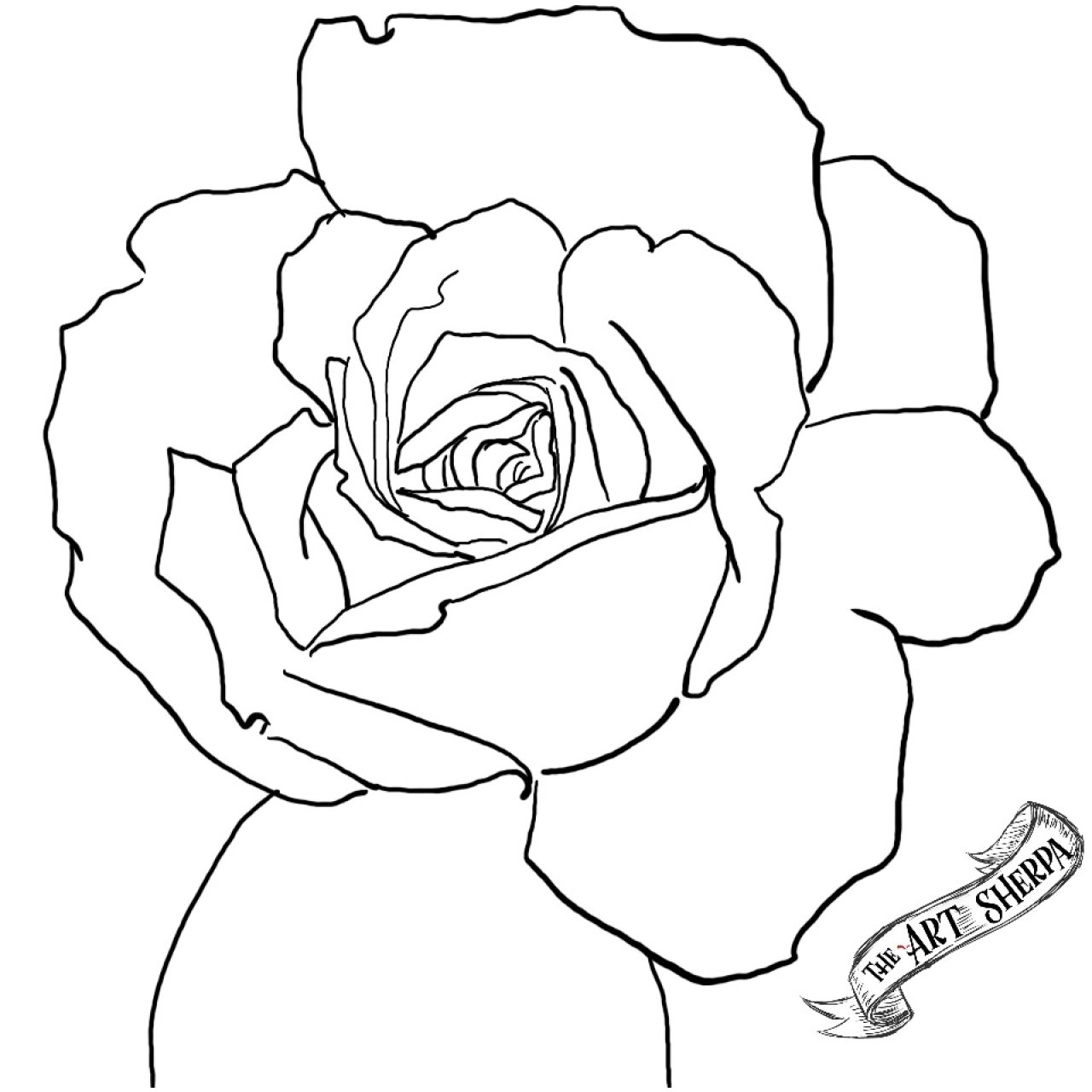 Peach Rose - The Art Sherpa Community | The Art Sherpa