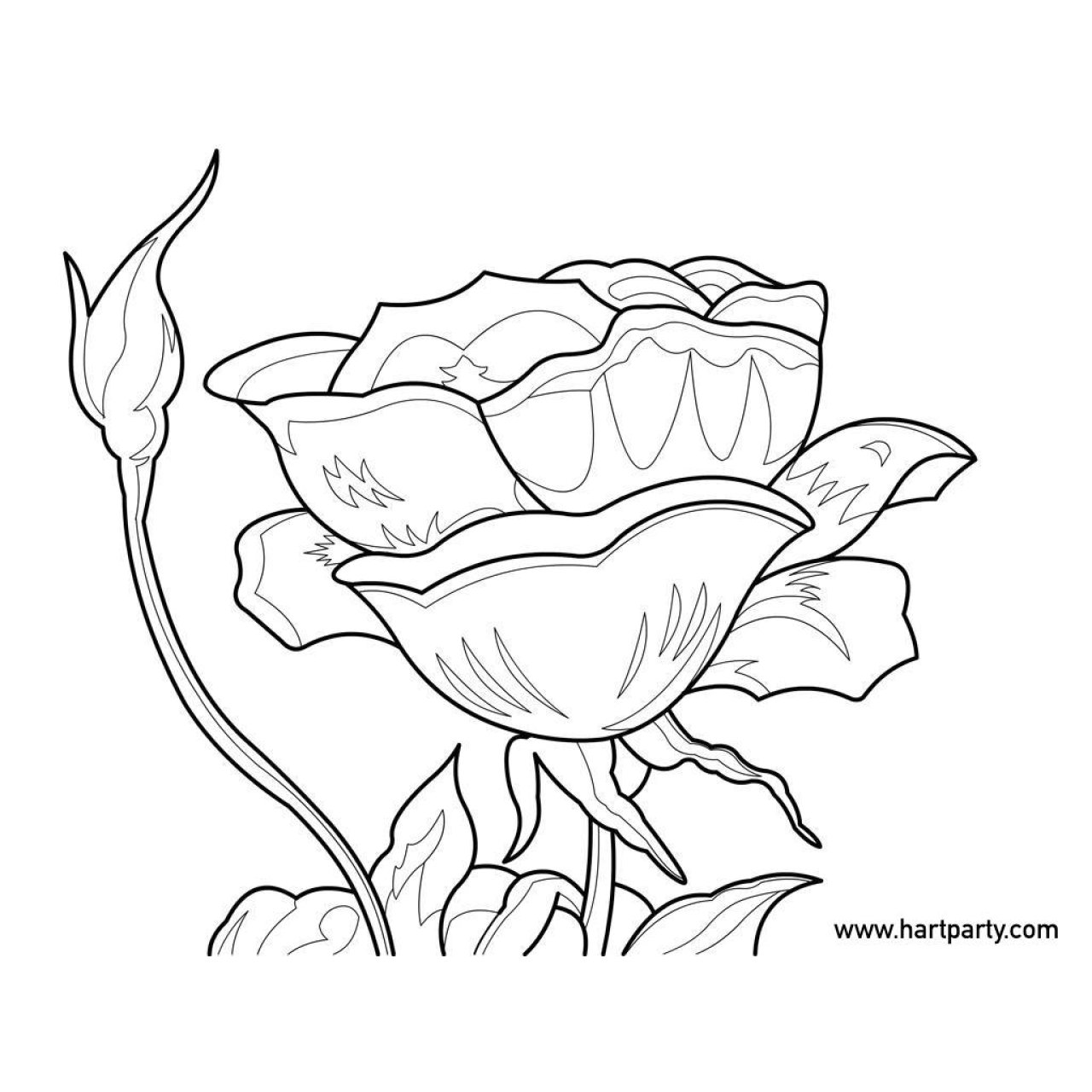 Rose And Bud - The Art Sherpa Community | The Art Sherpa