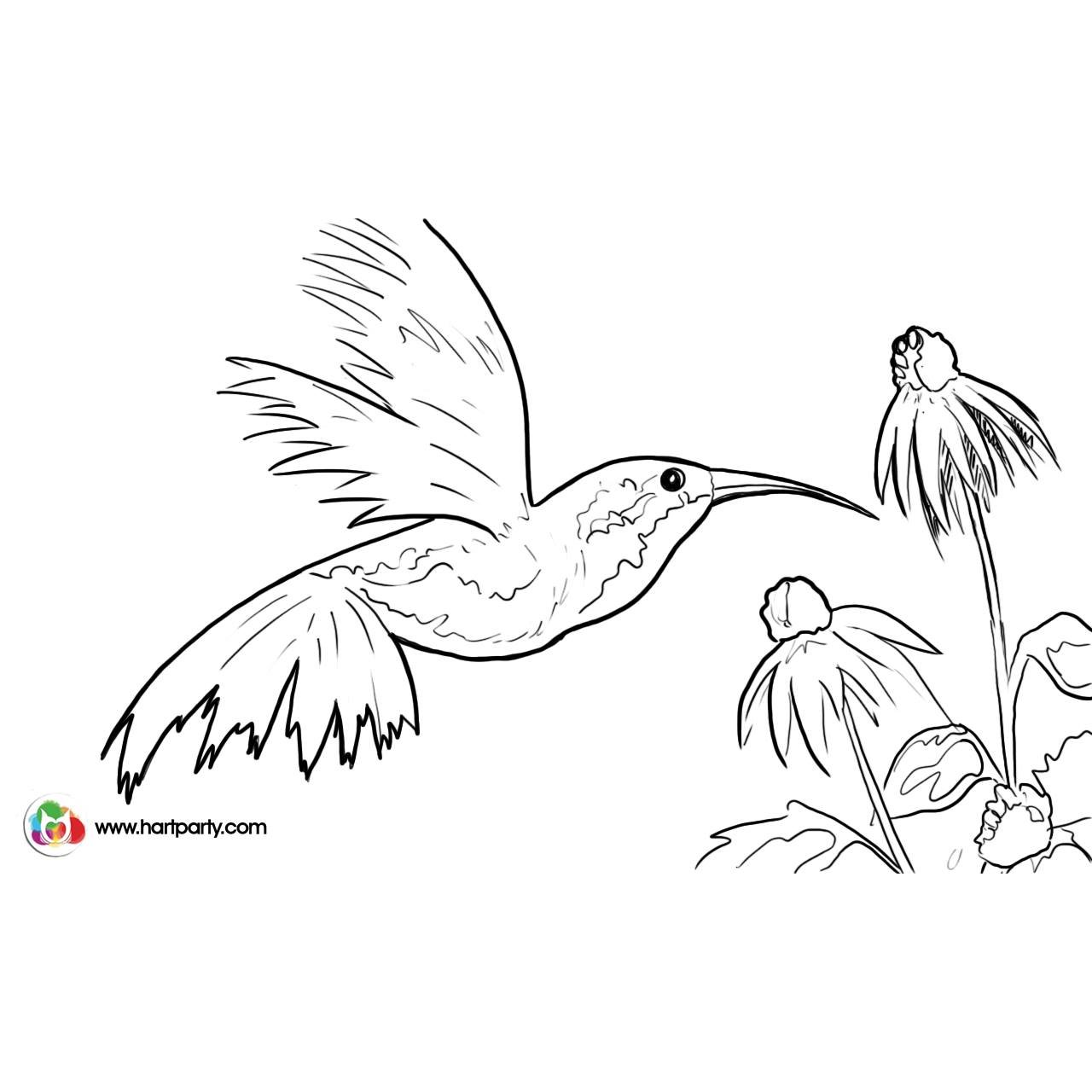 Hummingbird And Flower - The Art Sherpa Community | The Art Sherpa