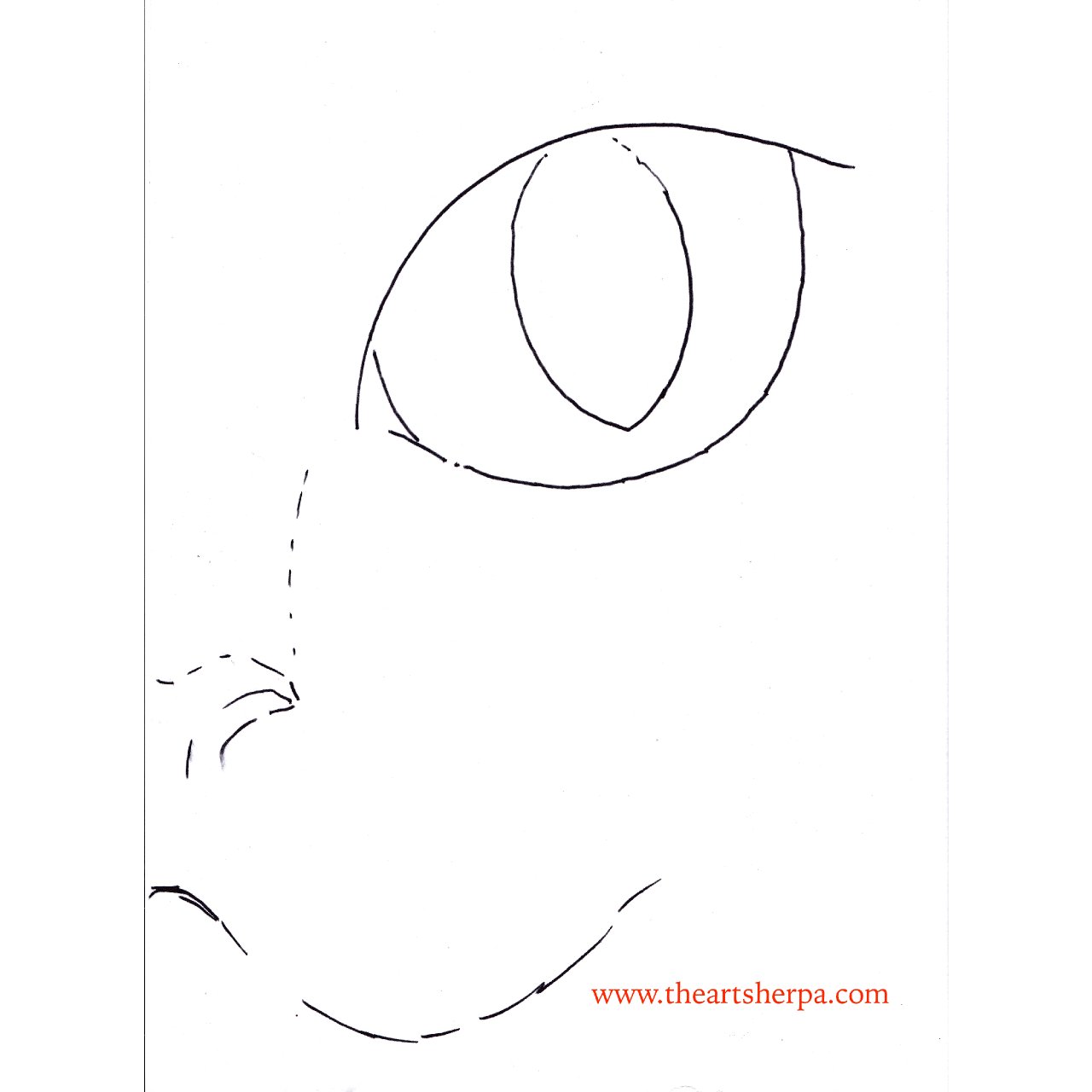 Black Cat - The Art Sherpa Community | The Art Sherpa