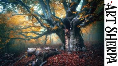 The OLD AUTUMN TREE Patron Only - PART 5 Acrylic Painting Tutorial Step ...